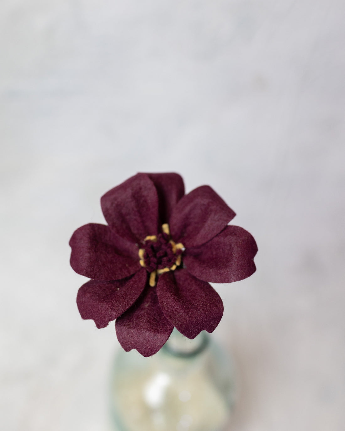 Chocolate Cosmo – TheHardwoodForest
